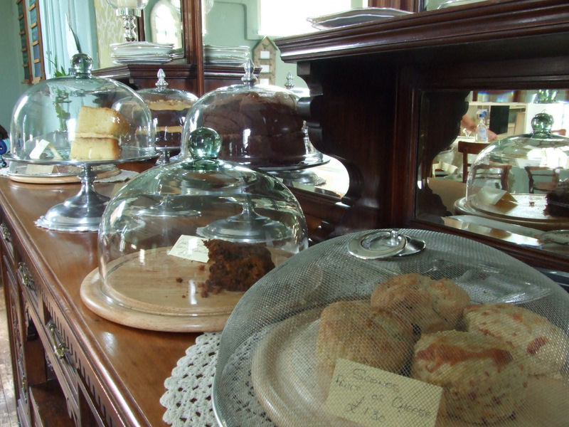 Bluebells Florist Tea Room